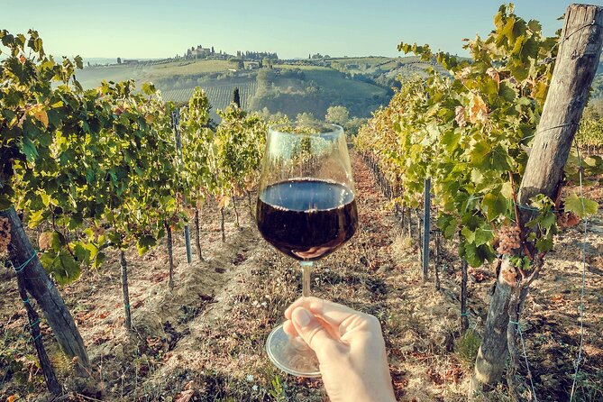 2 wineries Chianti Wine Tasting & Vineyards Walk Private Tour - Analyzing the Value and Pricing