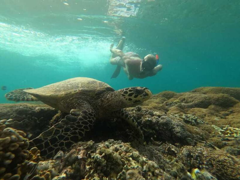 3 Islands Snorkeling with Glass Bottom Boat & GOPRO SHOOT - Frequently Asked Questions
