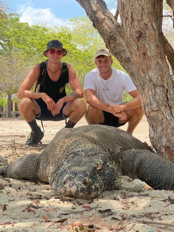 4-Day Komodo Island Adventure: Dragons, Snorkeling & Hiking - Final Thoughts