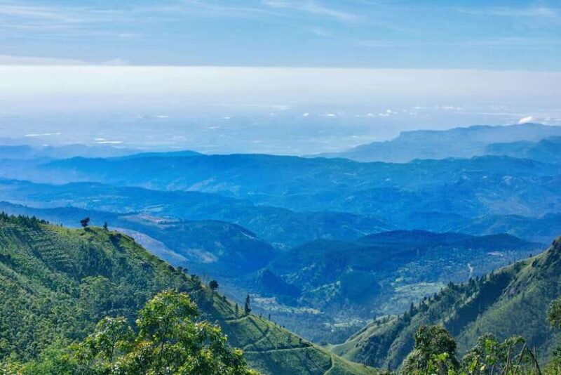 8-Day Sri Lanka Tour: History, nature, culture, wildlife - Wildlife and Nature Encounters