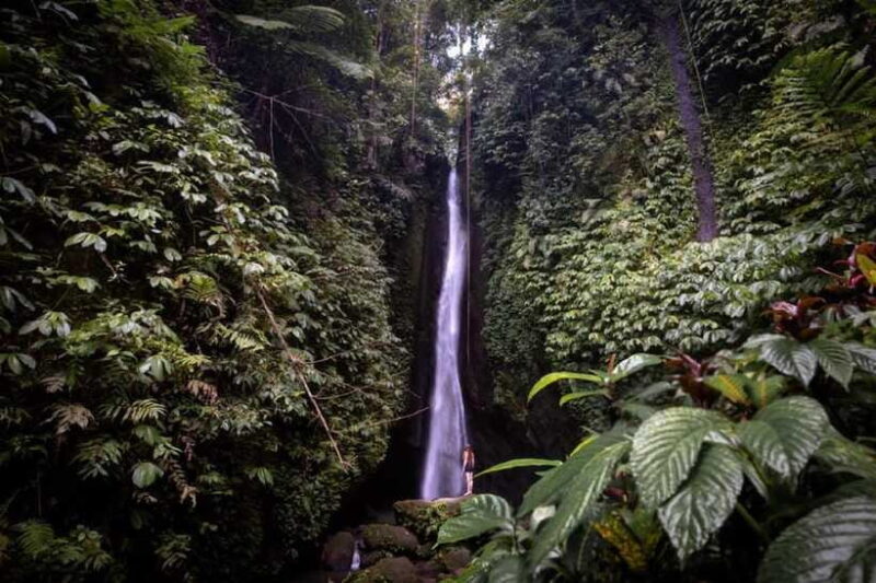 A Private Day Tour To Explore North Part of Bali - Who Will Love This Tour?