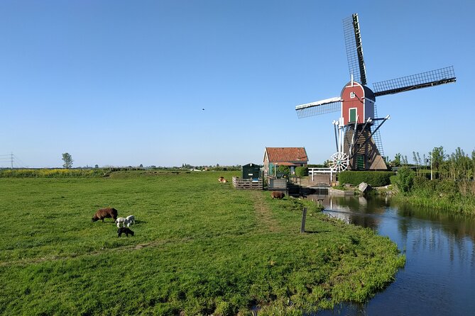 Amsterdam and Countryside Private Full-Day Tour by luxury car - FAQ