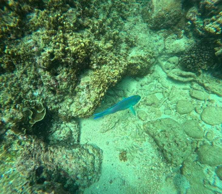 Angel Rock Snorkeling Private Trip - Frequently Asked Questions