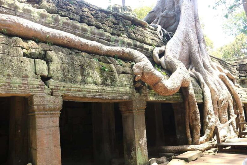 Angkor Wat: Highlights and Sunrise Guided Tour - FAQs