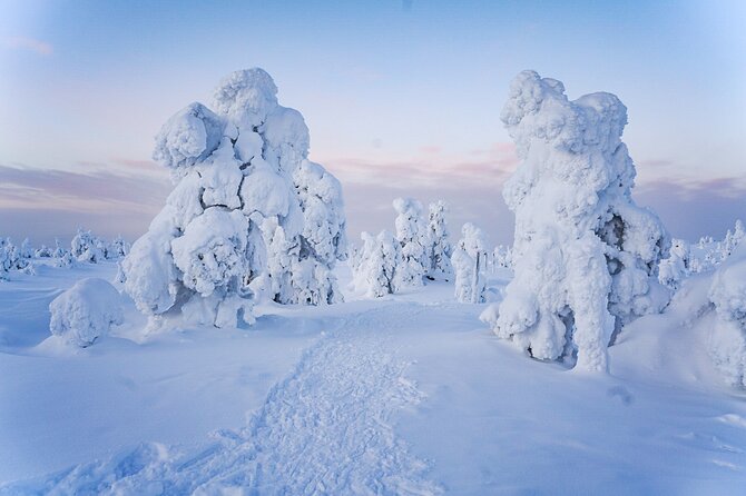 Arctic Adventure through Magical Frozen Forests of Riisitunturi - Who Should Consider This Tour?