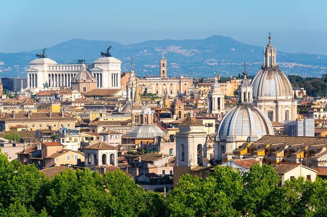 Arrival Transfer: Fiumicino Airport FCO to Rome by Luxury Van - FAQ