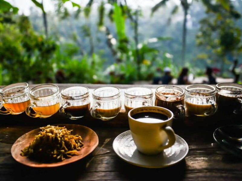 Bali: Dolphin Watching, Aling Aling Waterfall, and Coffee - Final Thoughts
