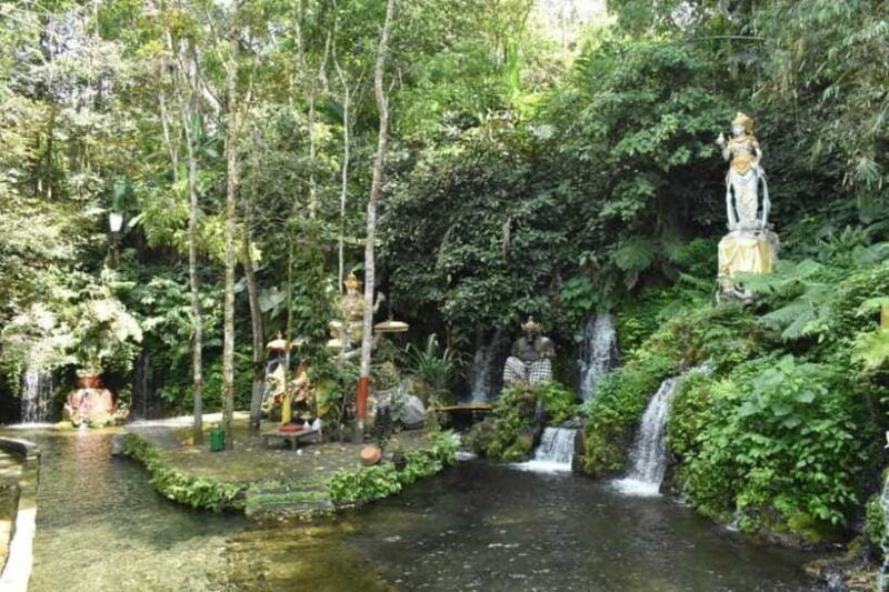 Bali Experience: Dance, Purification, & Culinary Journey - Practical Considerations and Value