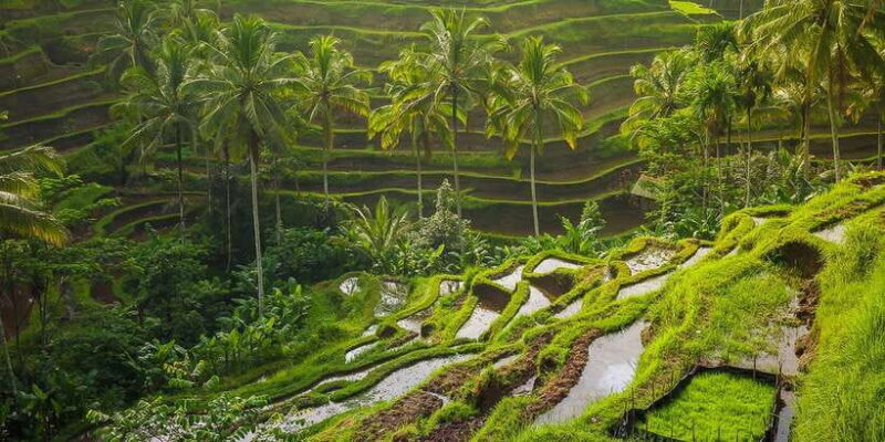 Bali: Full-Day Instagram Highlights Tour - FAQ