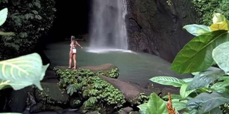 Bali: Green and Heritage West Trip Private Tour, Luxury Car - Final Thoughts