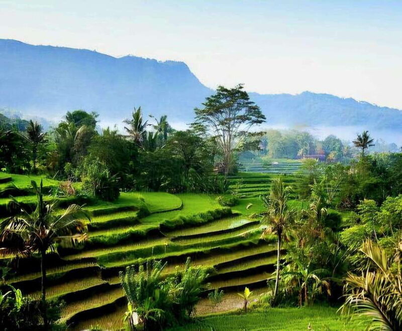 Bali: Harmony Mother Temple Private Tour (All-Inclusive) - Who Will Love This Tour?