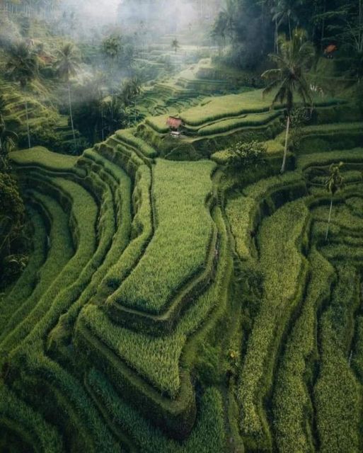 Bali : Highlight of Ubud Culture, Temple and Batur Volcano - How the Tour Feels