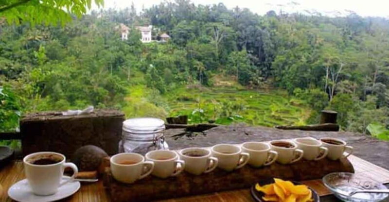 Bali: Local Village and School Tour with Lunch - Final Thoughts