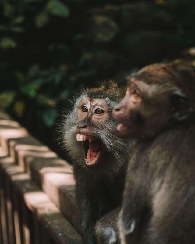 Bali: Private Customize Tour - Who Should Book This Tour?