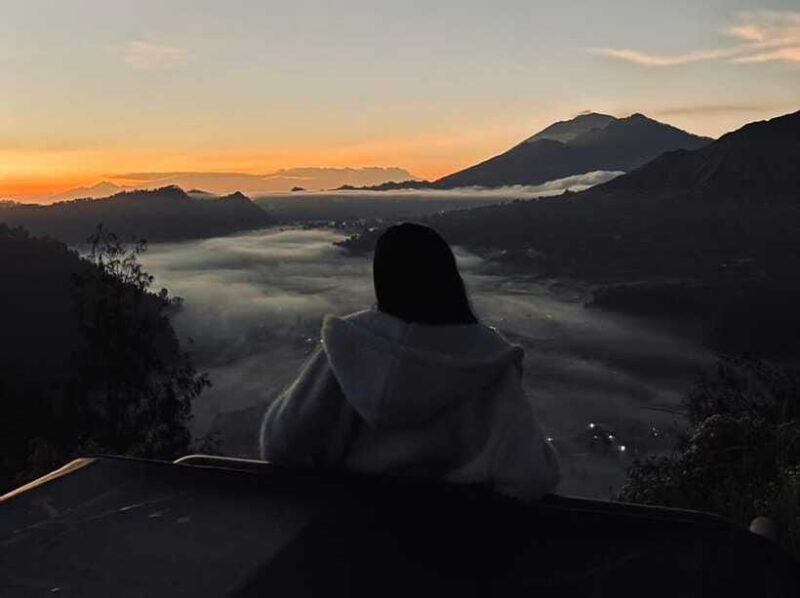 Bali: Rice Terrace & Volcano Tour with Penglipuran Village - Practical Tips for Participants