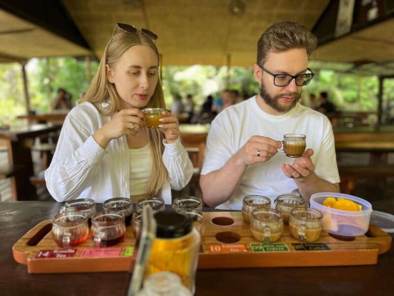 Bali: Rice Terrace, Water Temple, Penelokan, Mother Temple - What’s Included and What’s Not