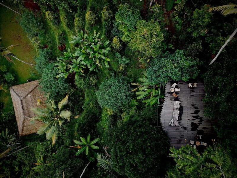 Bali: Shared or Private Highlights Ubud with Cretya Jungle - Who Should Consider This Tour?
