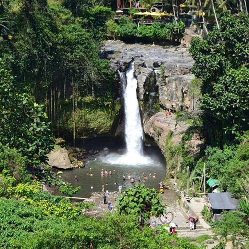 Bali: Swing, Waterfall, and Temple Tour with Hotel Pickup - The Sum Up