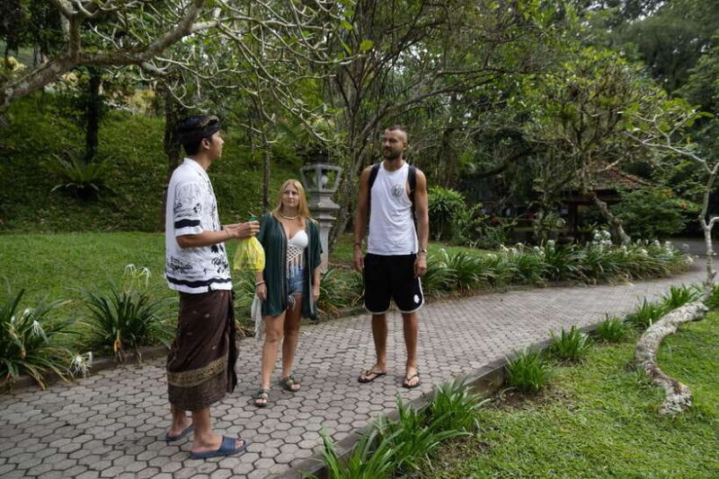 Bali: Temples, waterfall, and Rice Terrace Guided Tour - Final Thoughts