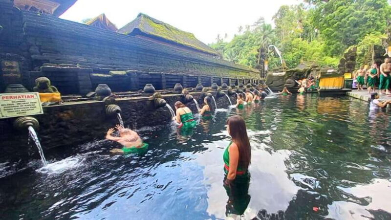 Bali: Ubud Day Tour with Swing and Zipline - Who Should Book This Tour?