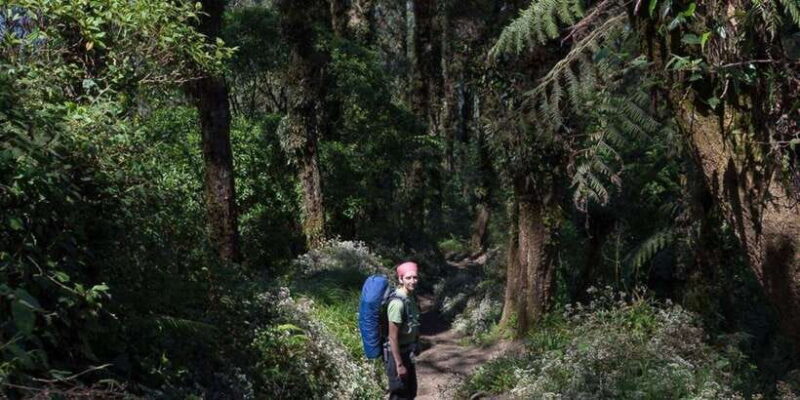 Bali's Mount Abang Expedition: Guided Hike - FAQs