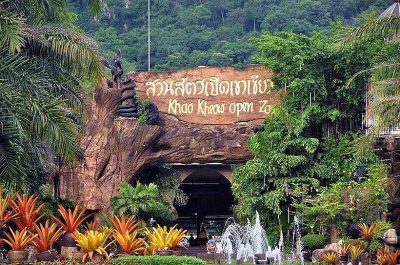 Bangkok to Moo Deng: Private Transfer To Khao Kheow Zoo - Who Would Enjoy This Tour?