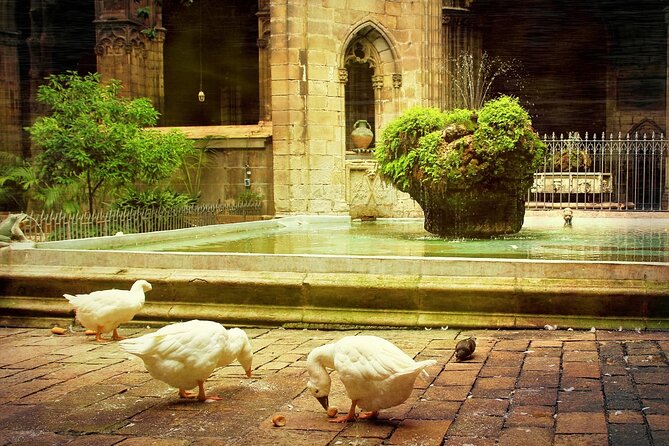 Barcelona Cathedral: Ticket, Guided Tour, Terrace + VR Experience - The Sum Up