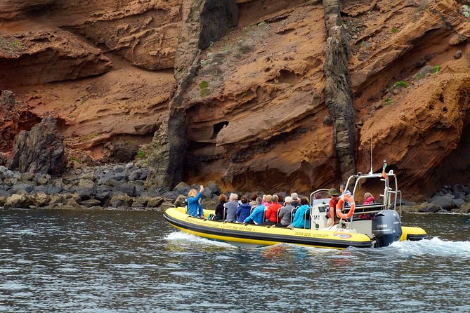 Basic Tour 2 - Quinta do Lorde to Cais do Sardinha and return - FAQs