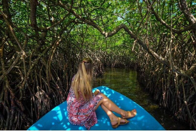 Bentota: All Inclusive Galle Dutch Fort & Madu River Safari - Practicalities and Value