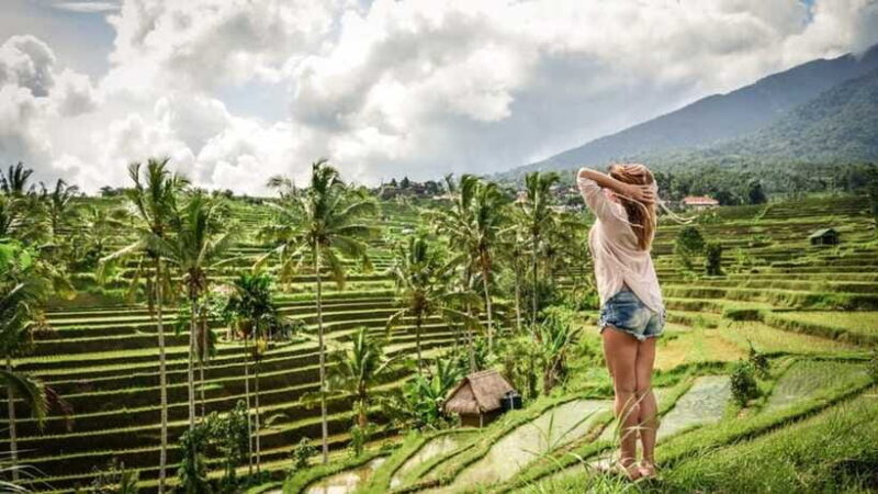 Best Northern Bali Sites with Tanah Lot Temple Tour - The Experience: Practical Insights