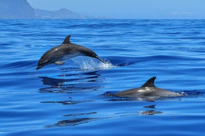 Boat tour Giardini Naxos Taormina Isola Bella Blue Grotto - Frequently Asked Questions