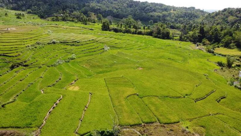 Bohol Candijay Rice Terraces, Water Falls & Anda Beach - Final Thoughts