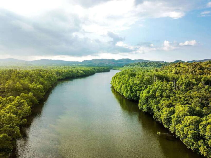 Bohol Tour Package: 3-Day Paradise Adventure - The Sum Up: Who Should Consider This Tour?