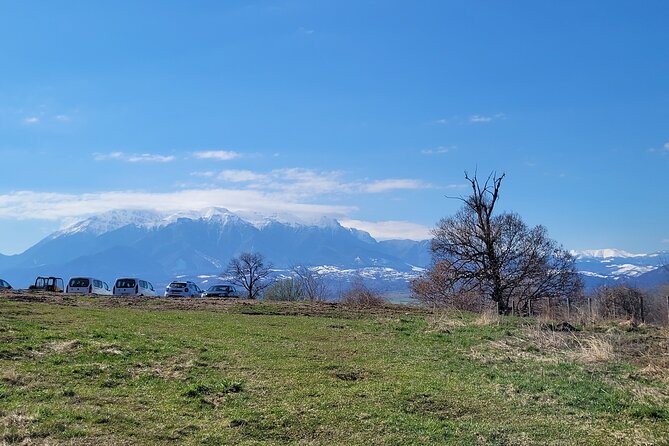 Bran Castle & Bear Sanctuary from Brasov - Optional Peles Castle - FAQ