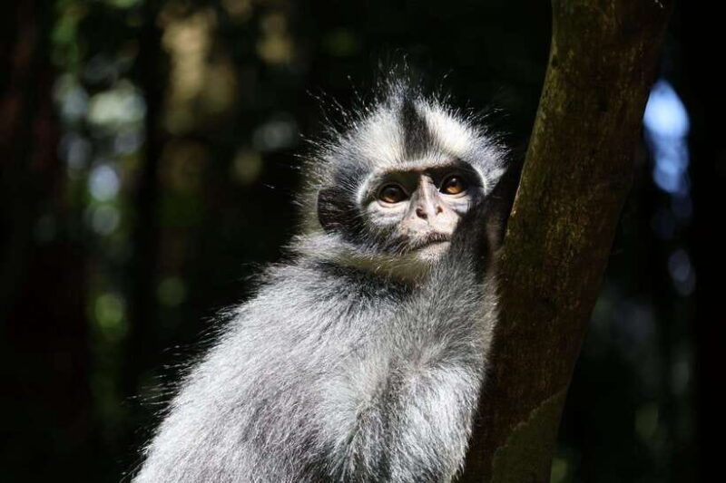Bukit Lawang: Orangutan Jungle Trekking Tour & Homestay SAMA - What to Bring and What to Respect