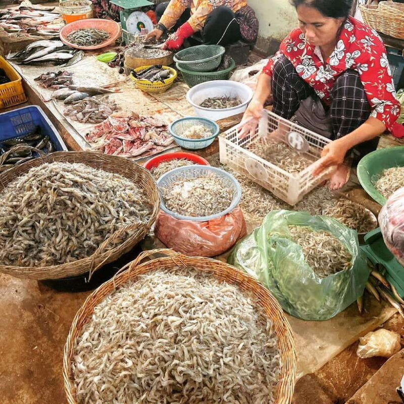 Cambodia Cooking Class, Oxcart Ride with Local Village Tour - Final Thoughts