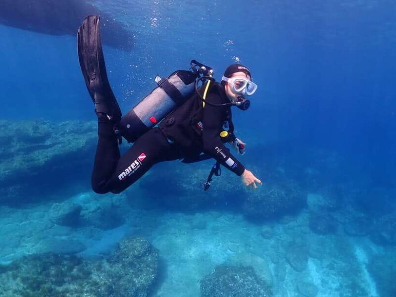 Cebu: boat diving two dive tour in Olango island - Who Should Book This Tour?