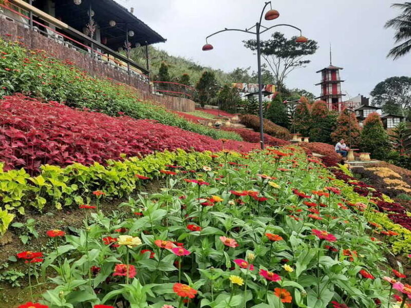 Cebu City: Cultural Heritage Tour & 10,000 Roses Visit - Exploring Fort San Pedro