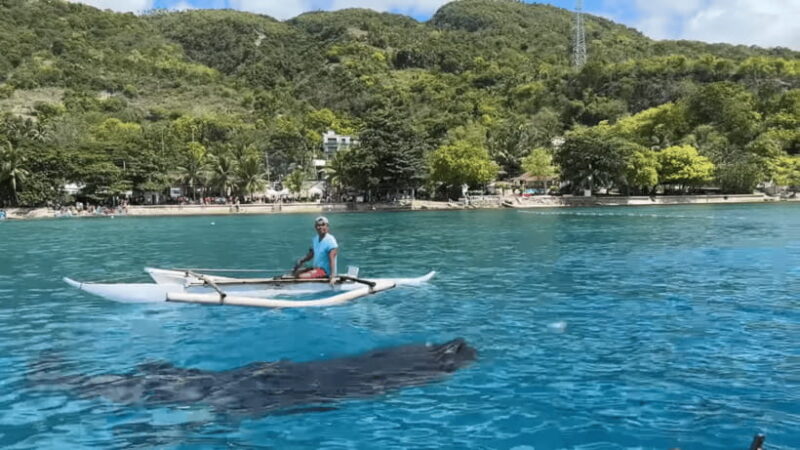 Cebu: Whale Shark Watching, Tumalog Falls & Sumilon Island - Final Thoughts