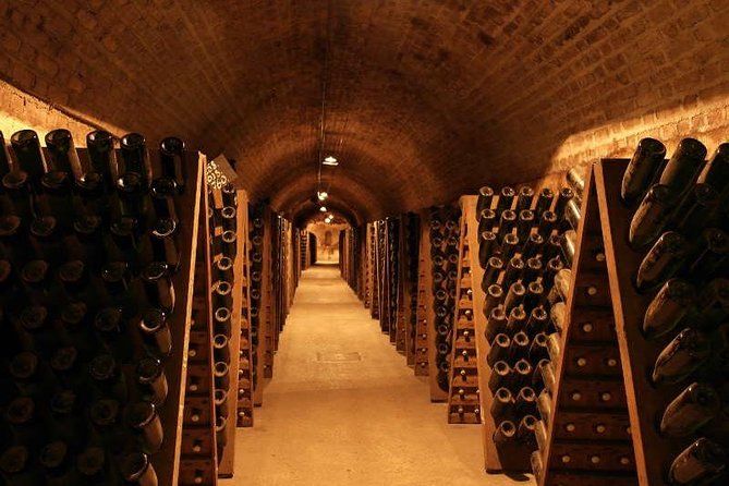 Champagne and Reims Tasting Day Trip from Paris - Authentic Experiences & What Travelers Say