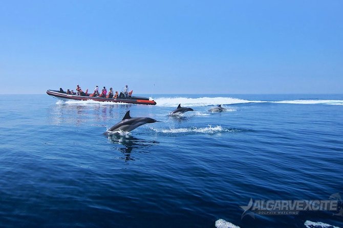 Cheapest Family Friendly Boat Trip From Vilamoura Algarve - FAQs
