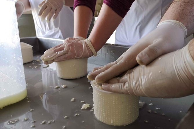 Cheese & ricotta making  Teramo (Abruzzo) Italy - FAQ