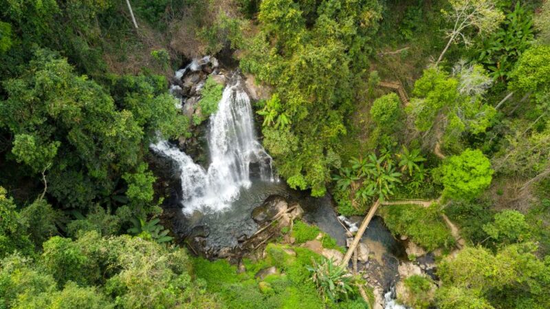 Chiang Mai: Doi Inthanon Highlights Small Group Tour - Who Should Consider This Tour?