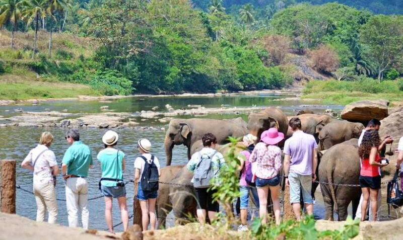 Colombo 6-Day Private Trip Culture, Nature, Wildlife, Beach - FAQs
