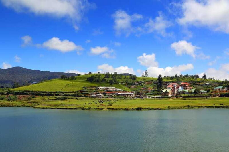 Colombo: Nuwara Eliya: Tea Gardens,Colonial Charm & High Tea - Exploring Nuwara Eliya Town