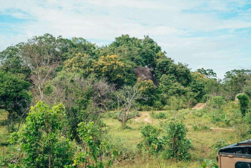 Colombo: Sigiriya Rock, Dambulla & Jeep Safari All Inclusive - Final Thoughts