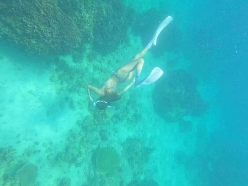 Coron: Dugong Watching with Sea Turtle and Coral Garden tour - How to Prepare