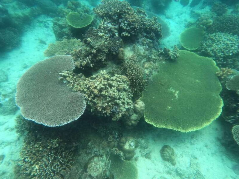 CORON:ISLAND TOUR A Lakes and Snorkeling with Corals - Authentic Experiences and Honest Feedback