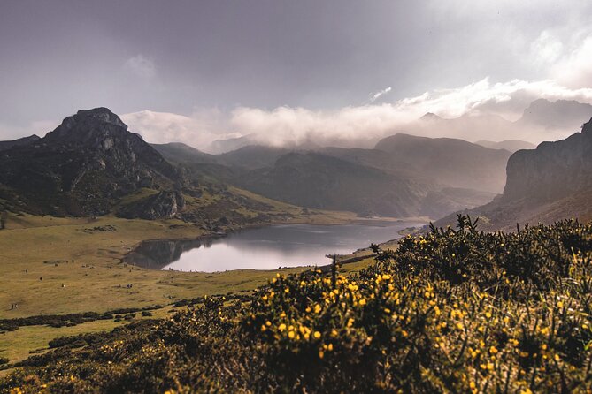 Covadonga Lakes, Sanctuary and Cangas de Onís from Santander - Who Is This Tour For?