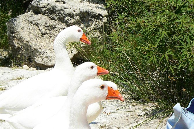 Crete Nature Kournas lake Argyroupoli &Georgioupoli from Rethymno - Who Would Love This Tour?